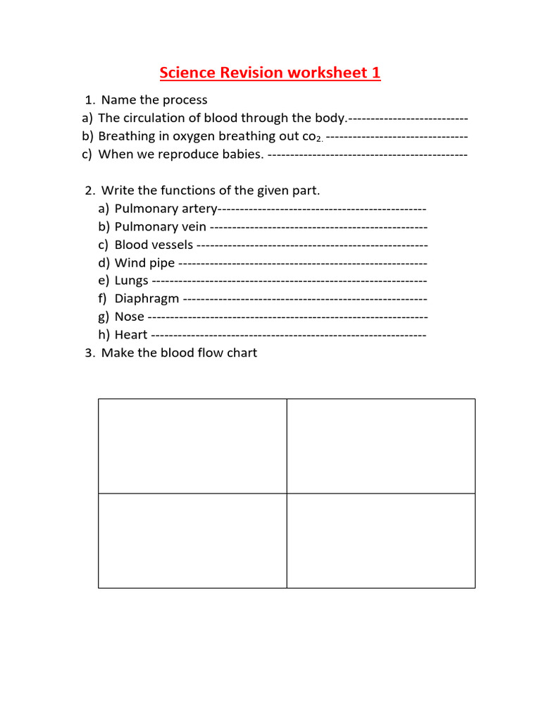 Science Revision Worksheet 1 | PDF