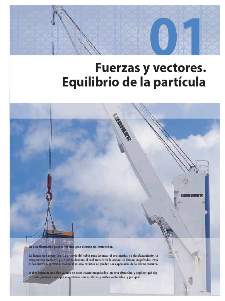 Fuerzas y Vectores 4ºeso | PDF | Vector Euclidiano | Fuerza