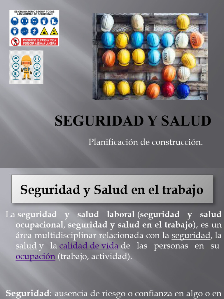 Seguridad y Salud | PDF | Derecho laboral | Seguridad y salud ocupacional