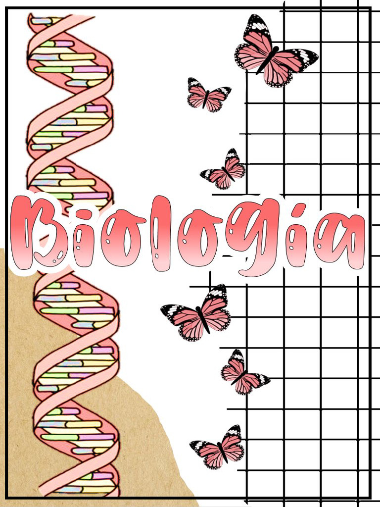 Bioquímica - Esquemas (Evau Biología Madrid) | PDF | Adn | Ribosoma