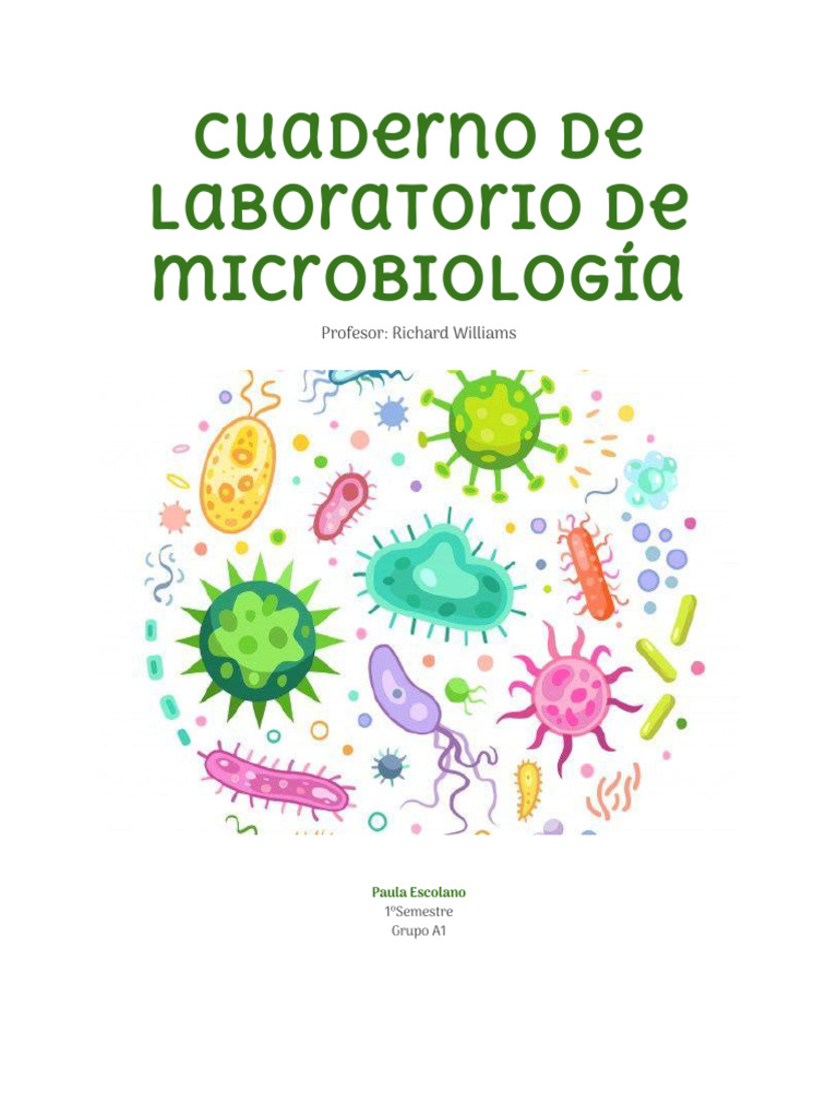 Cuaderno Prácticas Microbiología Paula Escolano | Descargar gratis PDF | Las bacterias | Tinción