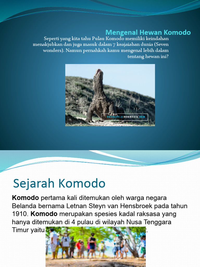 Legenda Sejarah Komodo Bagi Masyarakat Pulau Komodo | PDF