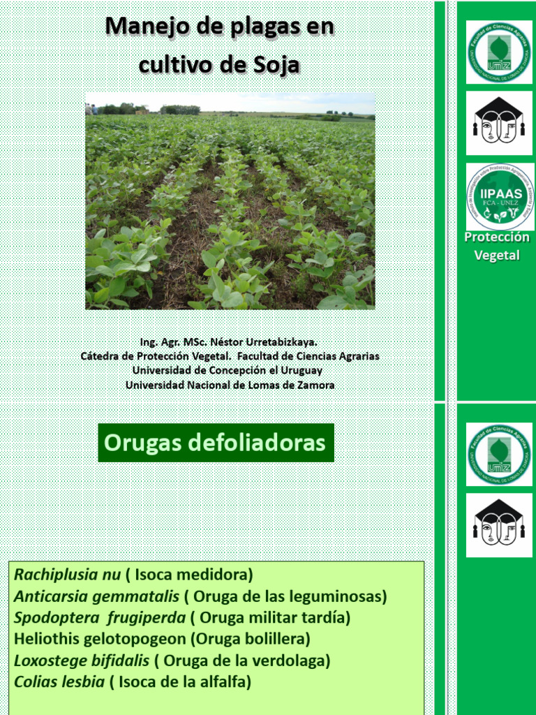Urretabizkaya, Néstor-Manejo de Plagas en Cultivo de Soja | PDF