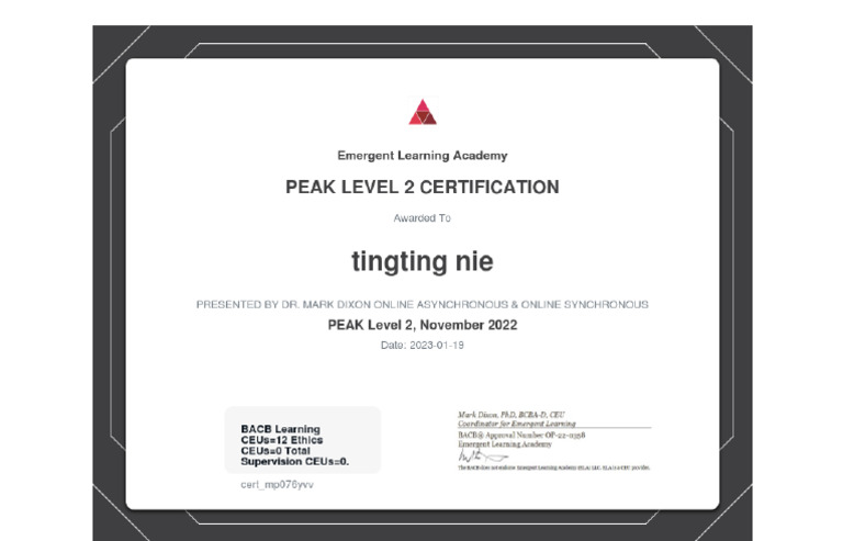 Peak Level 2 November 2022 | PDF