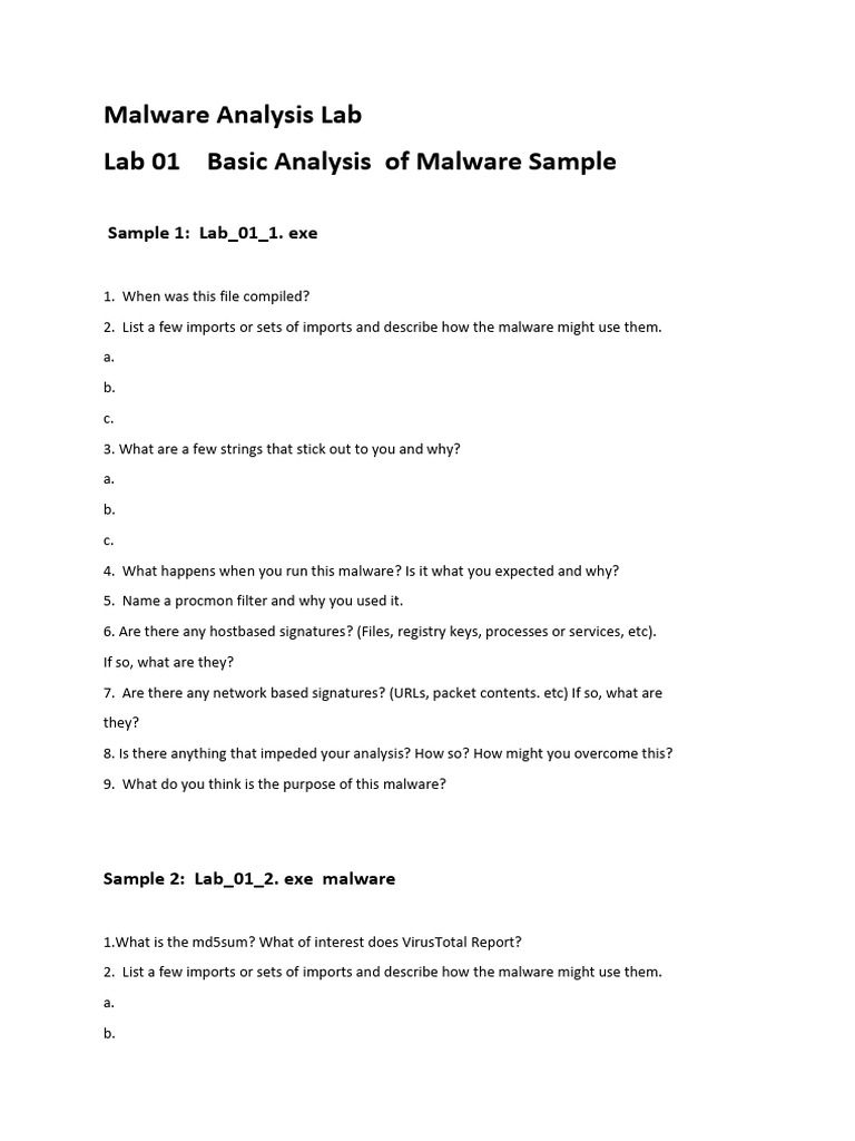 Malware Analysis Lab 1 | PDF
