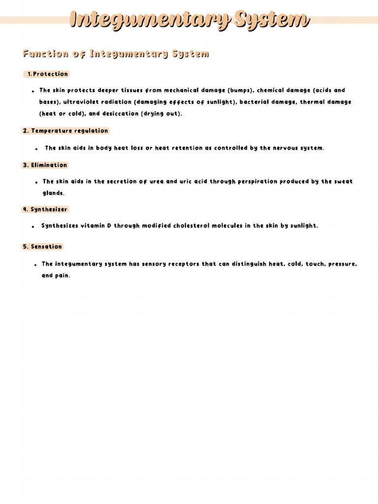 Integumentary System | PDF