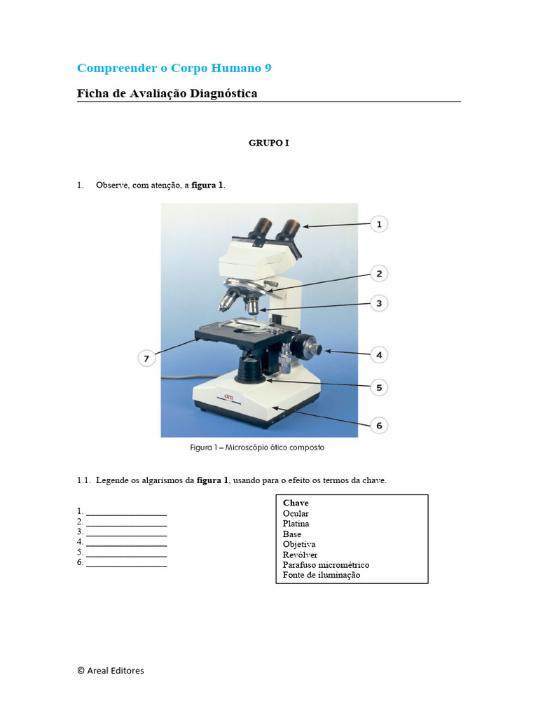 Ae cn9 Ficha Diagnostica 1 | PDF