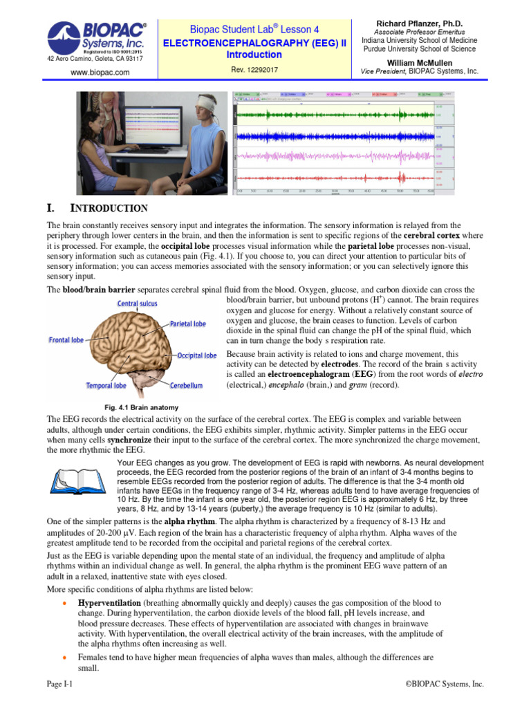 EEG II Introduction | PDF | Science & Mathematics