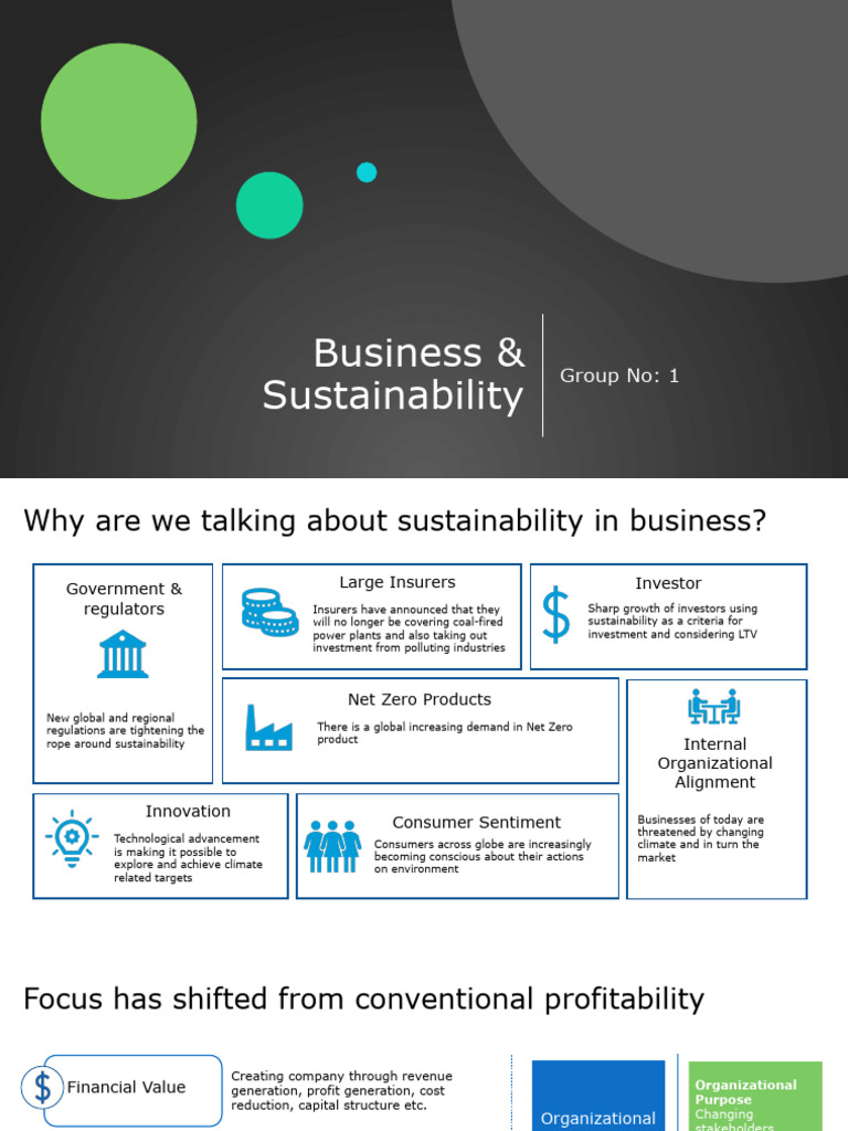 Business Sustainability Strategies Overview | PDF | Electric Vehicle ...