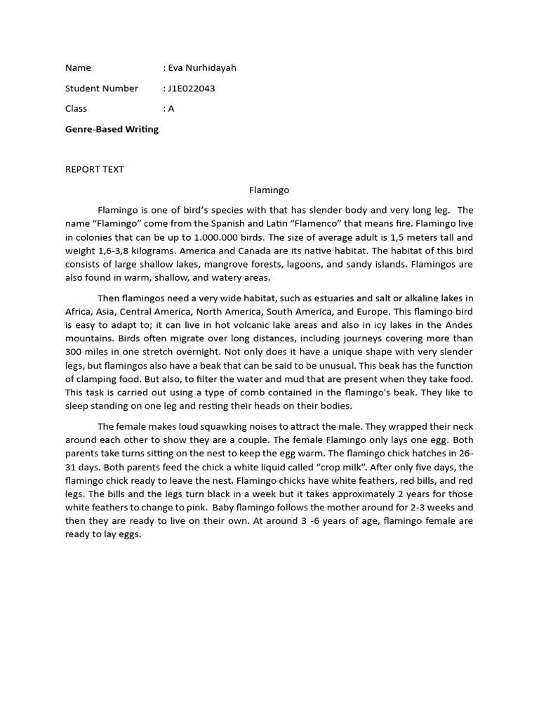 Report Text About Flamingo | PDF