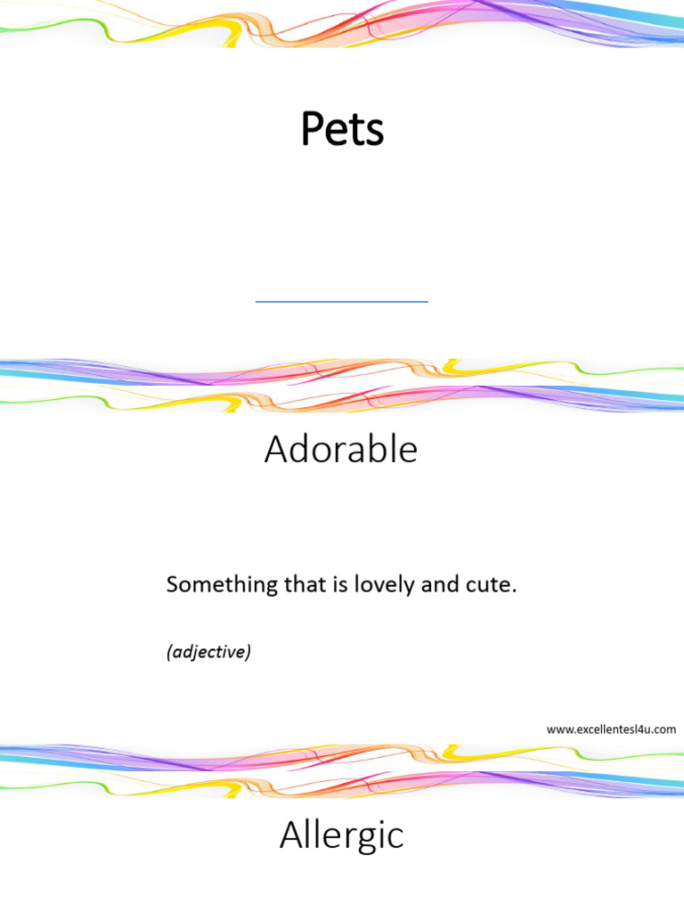 Pets Flashcards | PDF | Pet | Noun