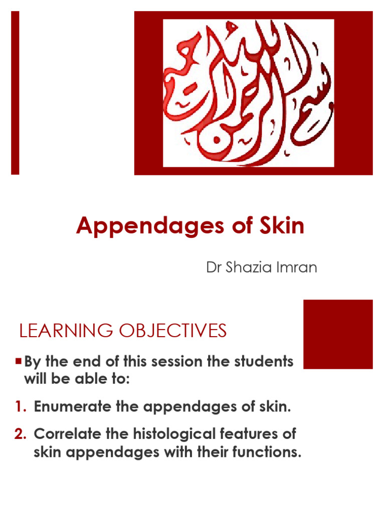 DR Shazia Imran Skin Appendages | PDF | Skin | Epithelium