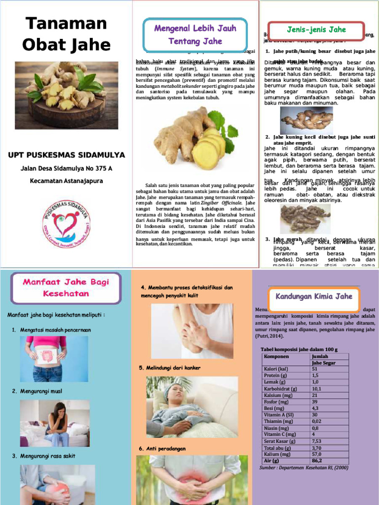 Leaflet Tanaman Jahe | PDF