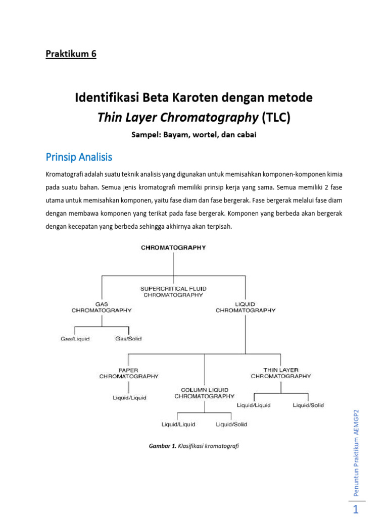 Praktikum - Identifikasi Beta Karoten Dengan Metode TLC | PDF