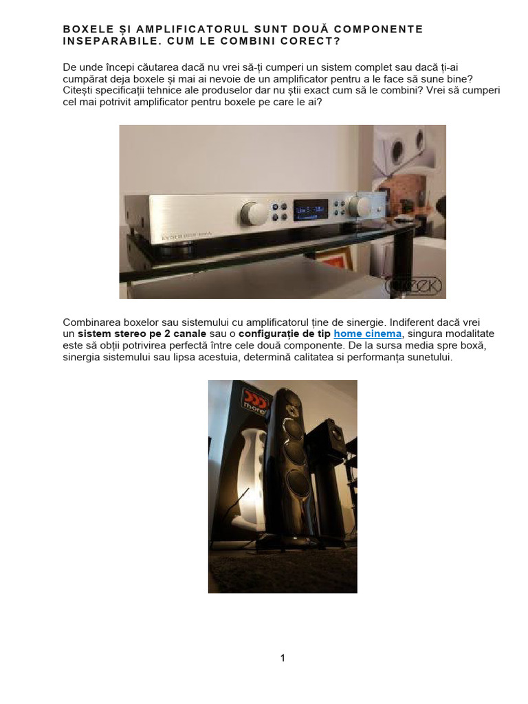 Boxele - Amplificatorul | PDF