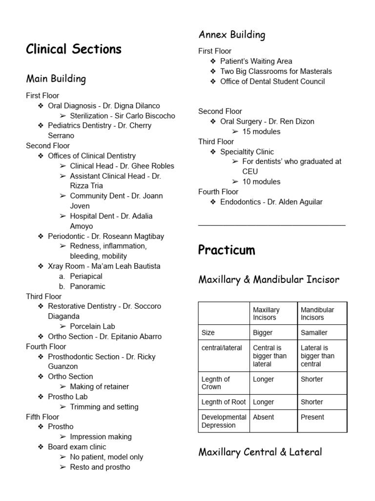 DENT | PDF | Dental Anatomy | Animal Anatomy