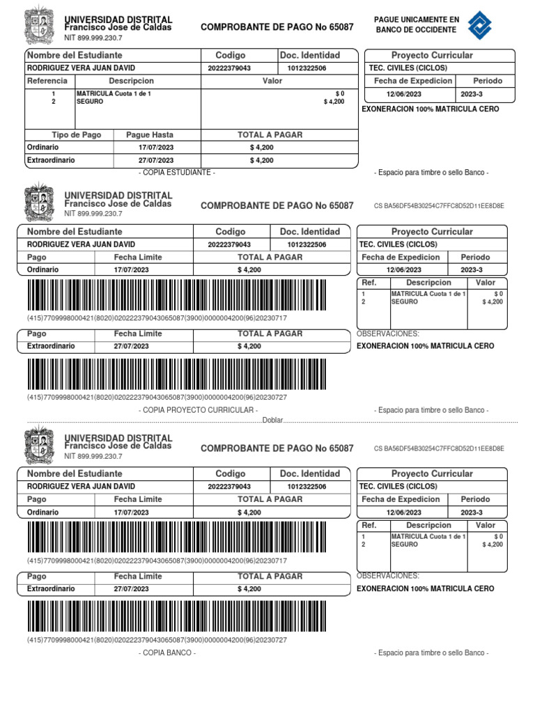 Recibo de Pago 2023-3 | PDF