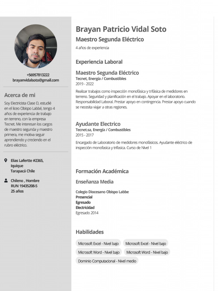 CV_Brayan Patricio_Vidal Soto | PDF