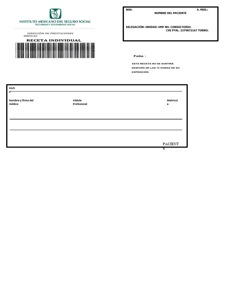 Formato de Receta Medica Imss Editable | PDF