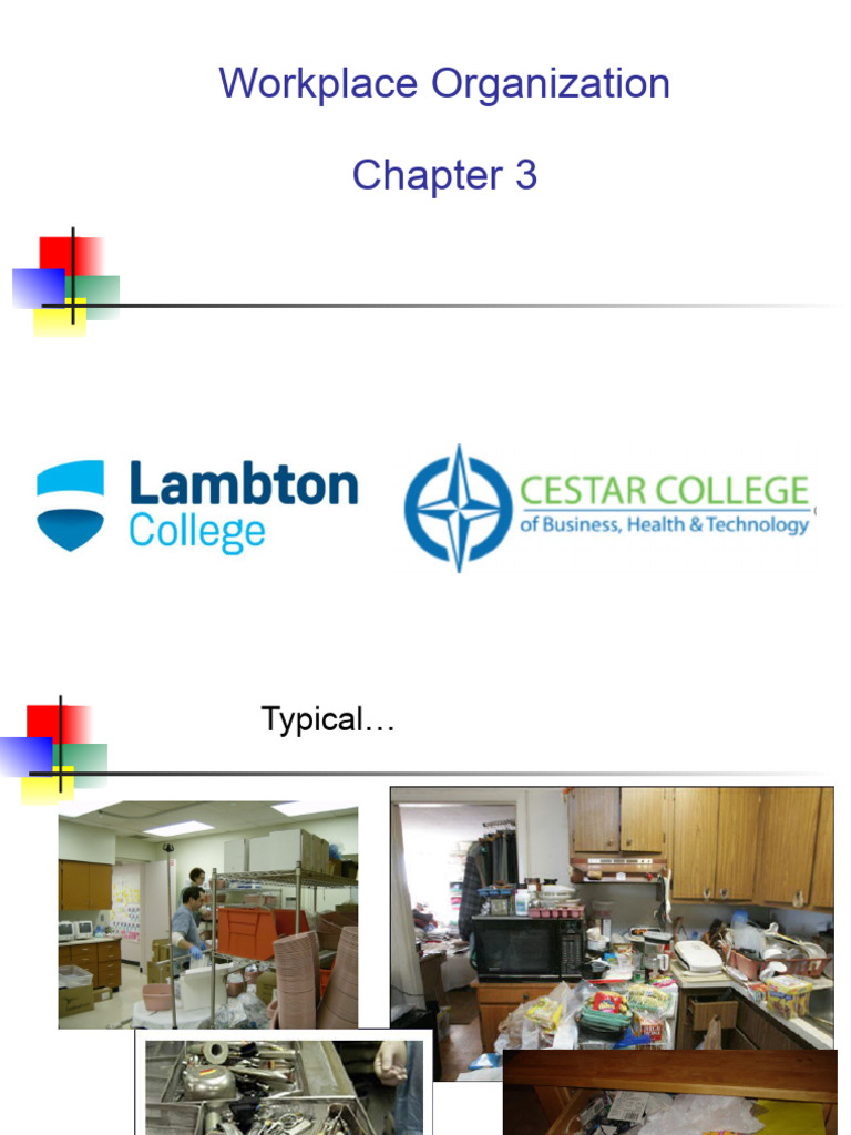 Workplace Organization | PDF | Audit | Disciplines