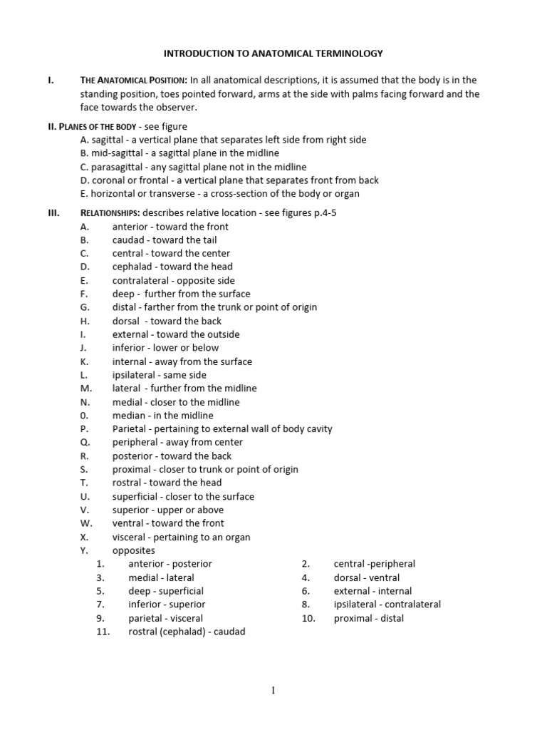 Anatomical Terminology | PDF | Anatomical Terms Of Motion | Anatomical ...