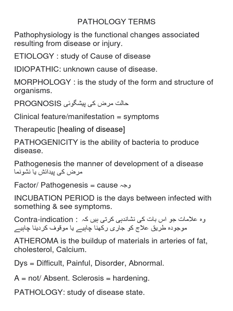 Pathology Document | PDF | White Blood Cell | Heart