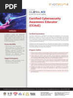 RAFAC Cyber Awareness Training Guide | PDF | Cyberwarfare | Security