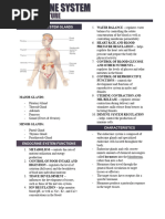 Grade 12 Endocrine System Notes | PDF | Endocrine System | Pancreas