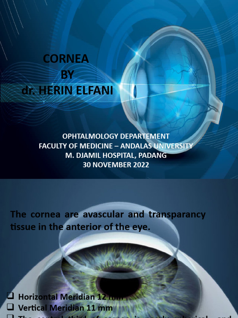 Cornea | PDF | Epithelium | Cornea