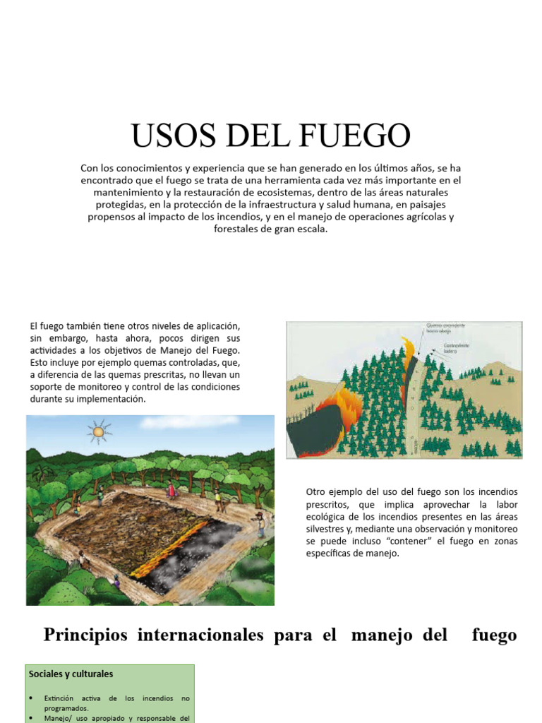 Usos Del Fuego | PDF | Fuego fatuo | Incendios