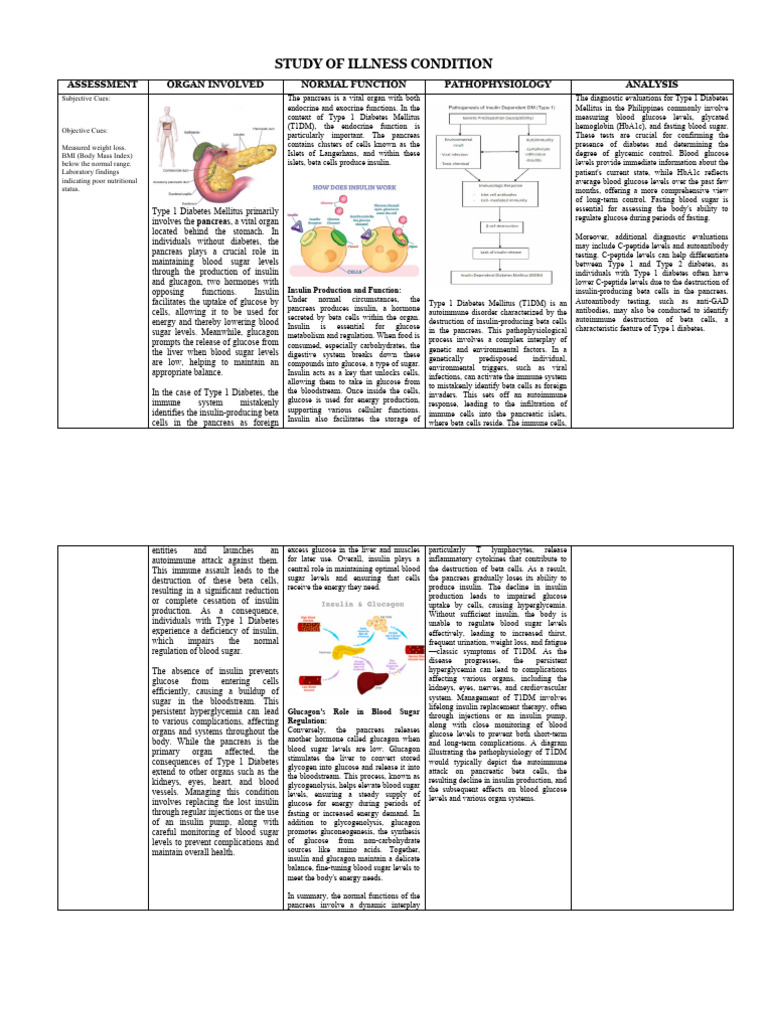 sic-type-1 | PDF | Pancreas | Insulin