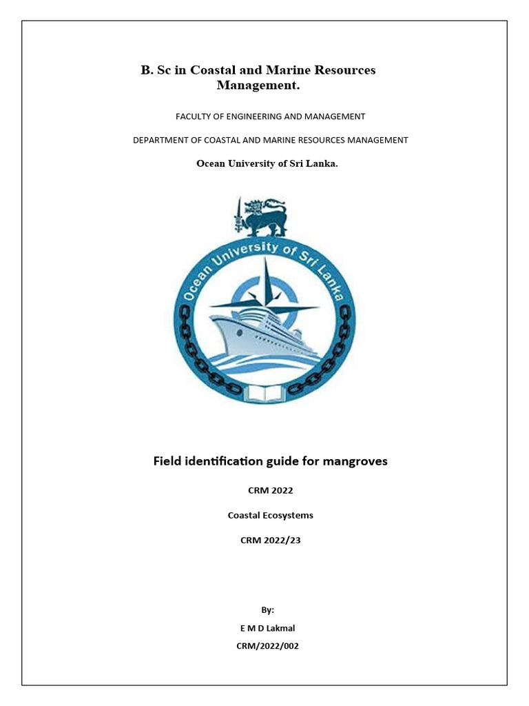 Mangrove Guide | PDF | Mangrove | Leaf