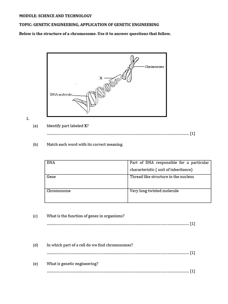 Form 2 Revision Worksheet | PDF | Flowers | Pollination
