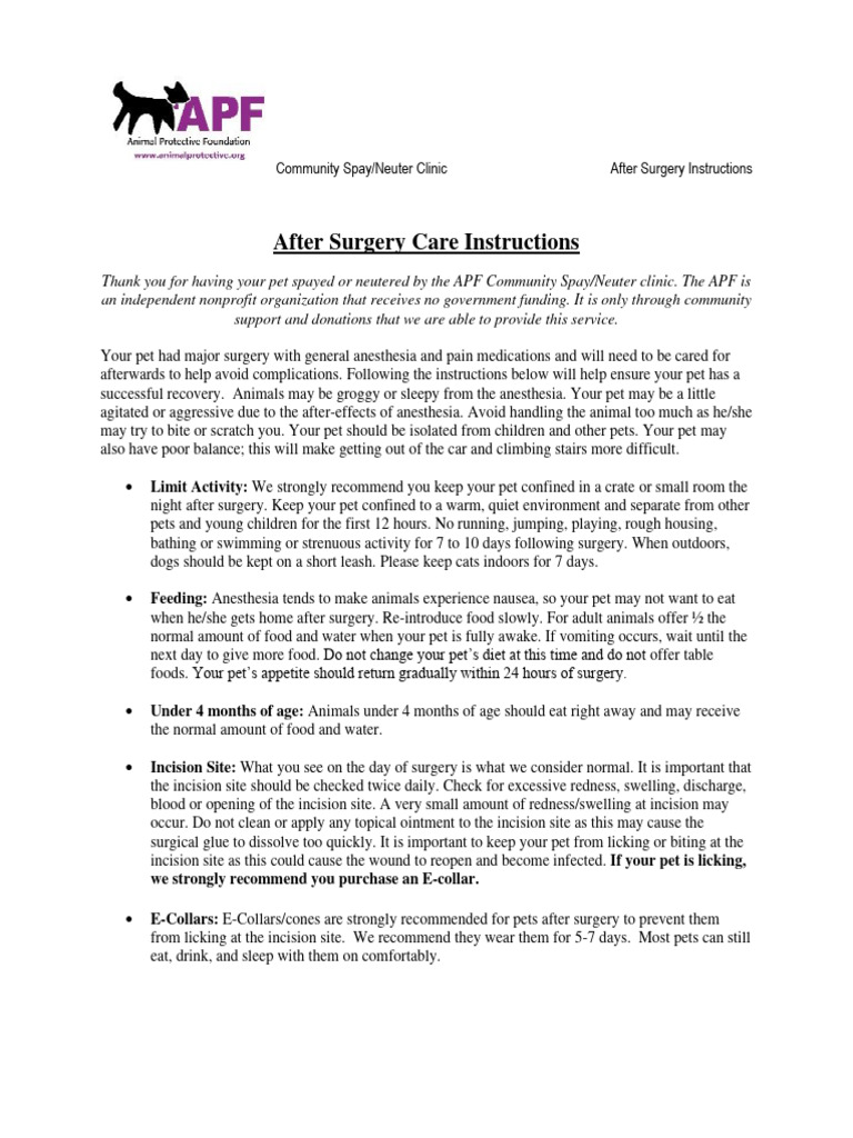Apf Clinic Aftercare Instructions | PDF | Surgery | Neutering