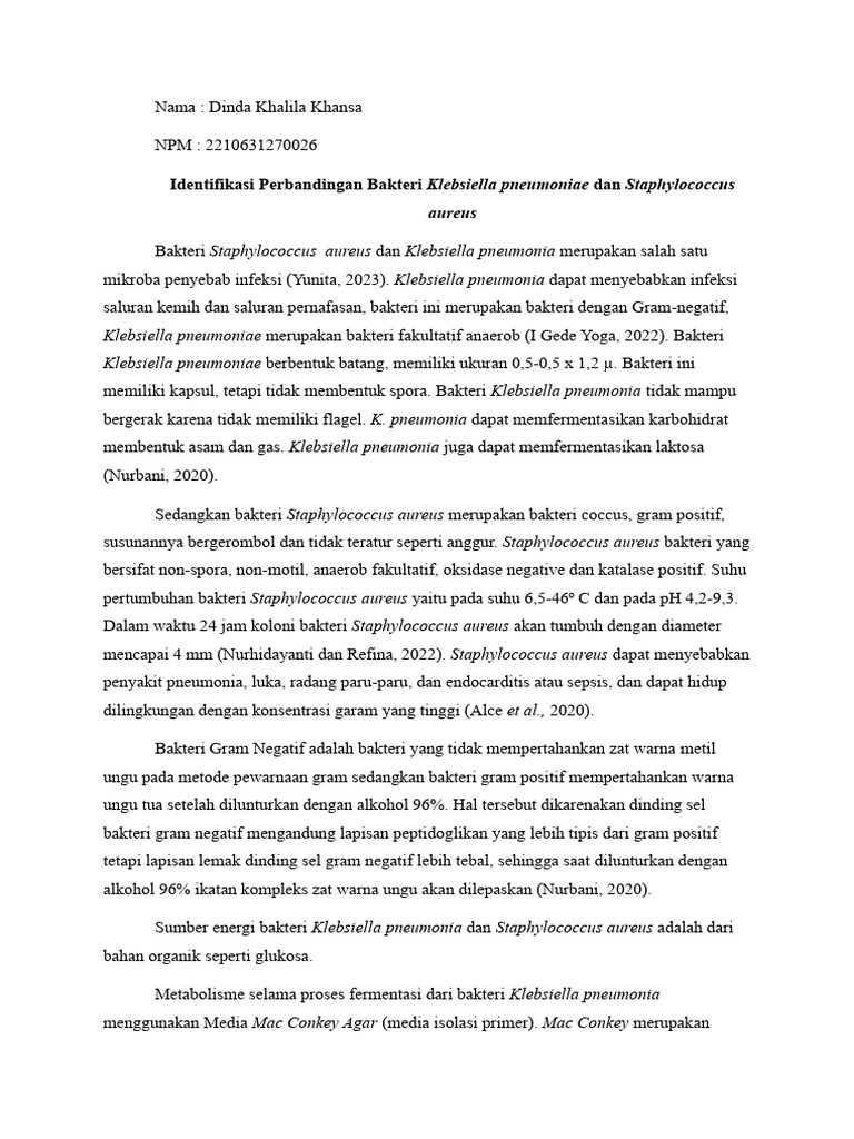 Dinda Khalila Khansa Maulana - 2210631270026 - Identifikasi ...