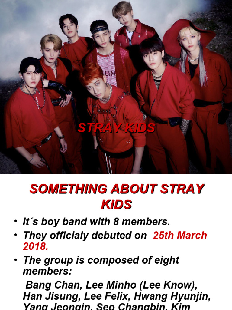 Stray Kids | PDF | Art