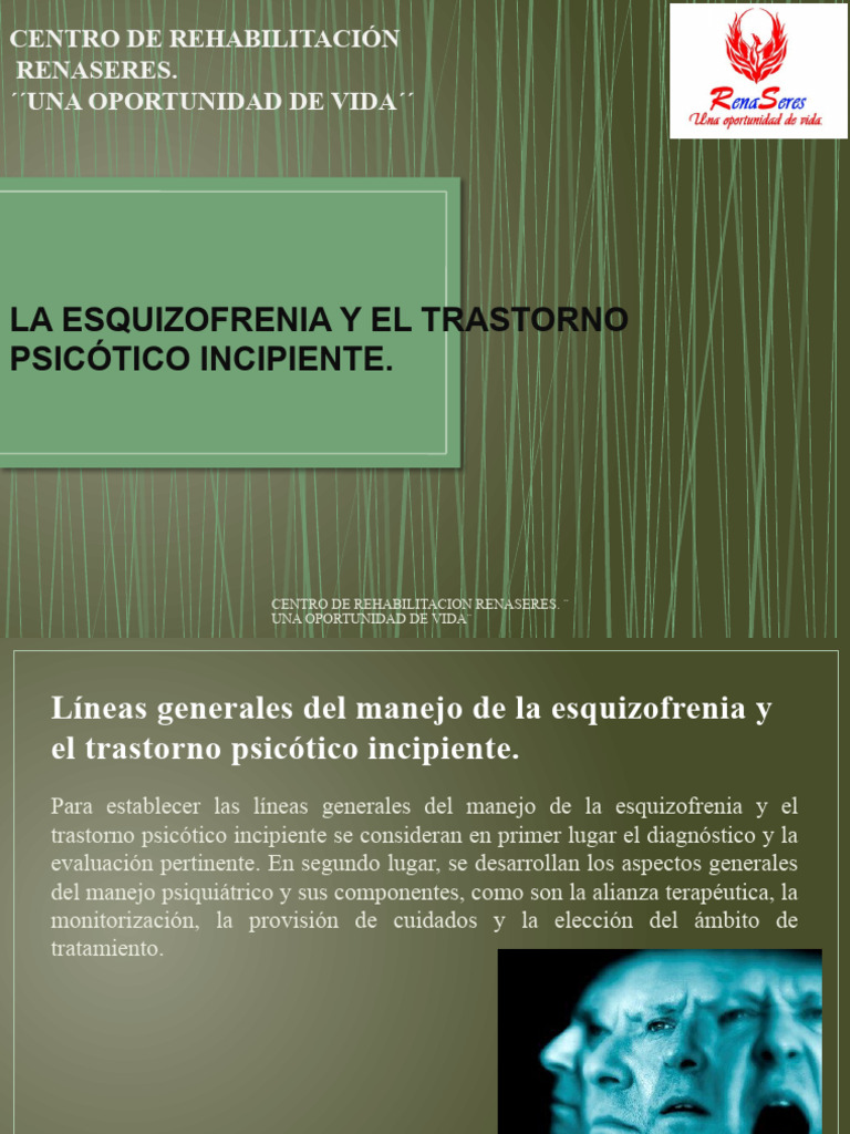 Manejo de Esquizofrenia y Trastornos Psicóticos | PDF | Esquizofrenia ...