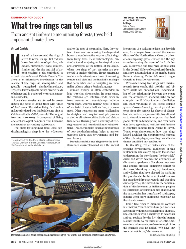 2020 - What Tree Rings Can Tell Us | PDF | Climate | Earth Sciences