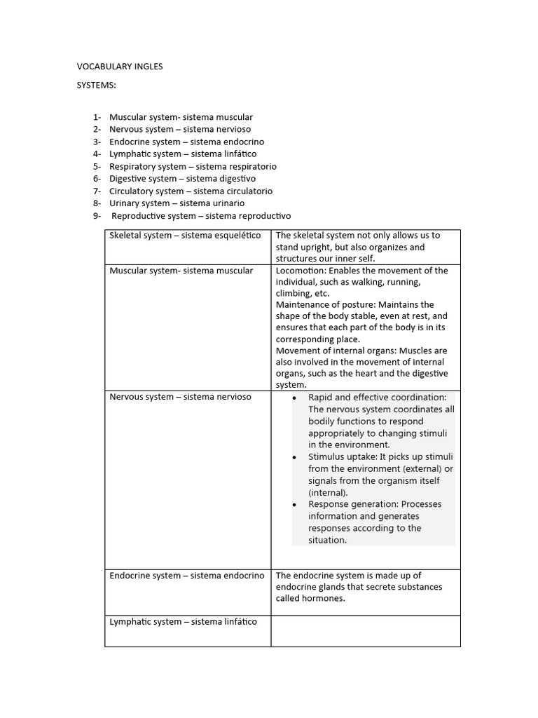 Vocabulary Ingles | PDF | Endocrine System | Human Body