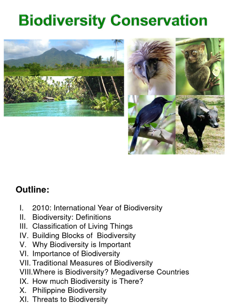 Biodiversity Conservation | PDF | Biodiversity | Conservation Biology Biodiversity Conservation | PDF | Biodiversity | Conservation Biology