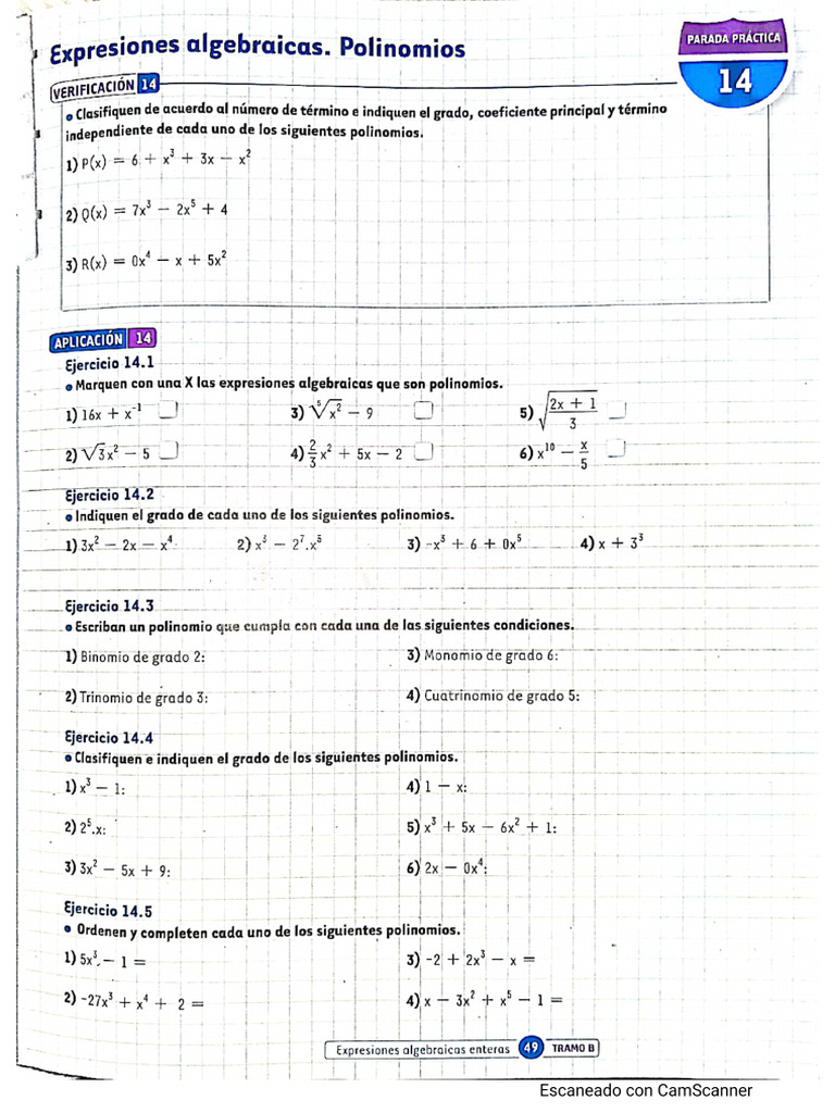 tp polinomios 1 | PDF