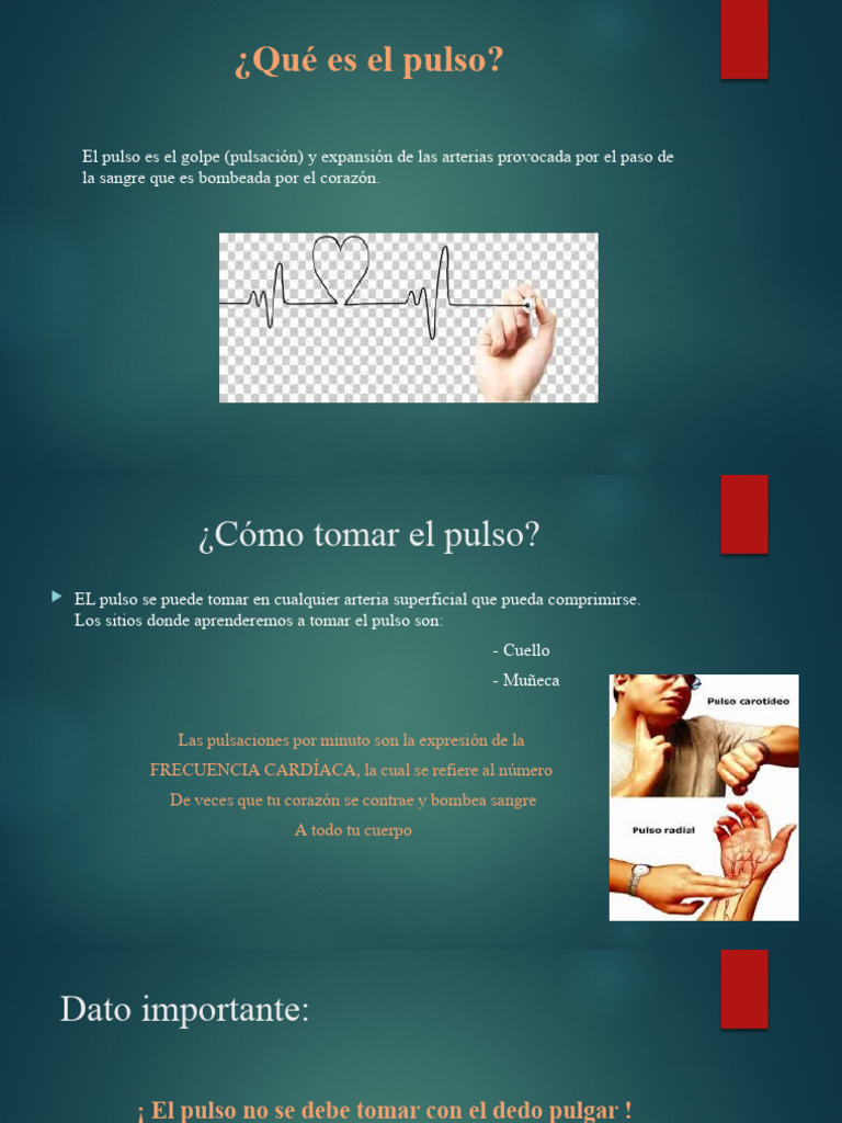 Qué Es El Pulso | PDF | Relaciones personales, crianza y desarrollo ...