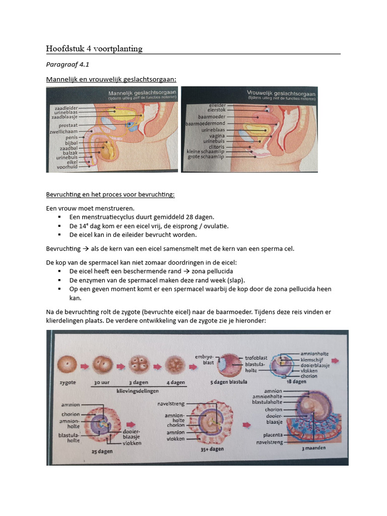 Biologie Nectar Vwo 4, Samenvatting Hoofdstuk 4, Voortplanting | PDF