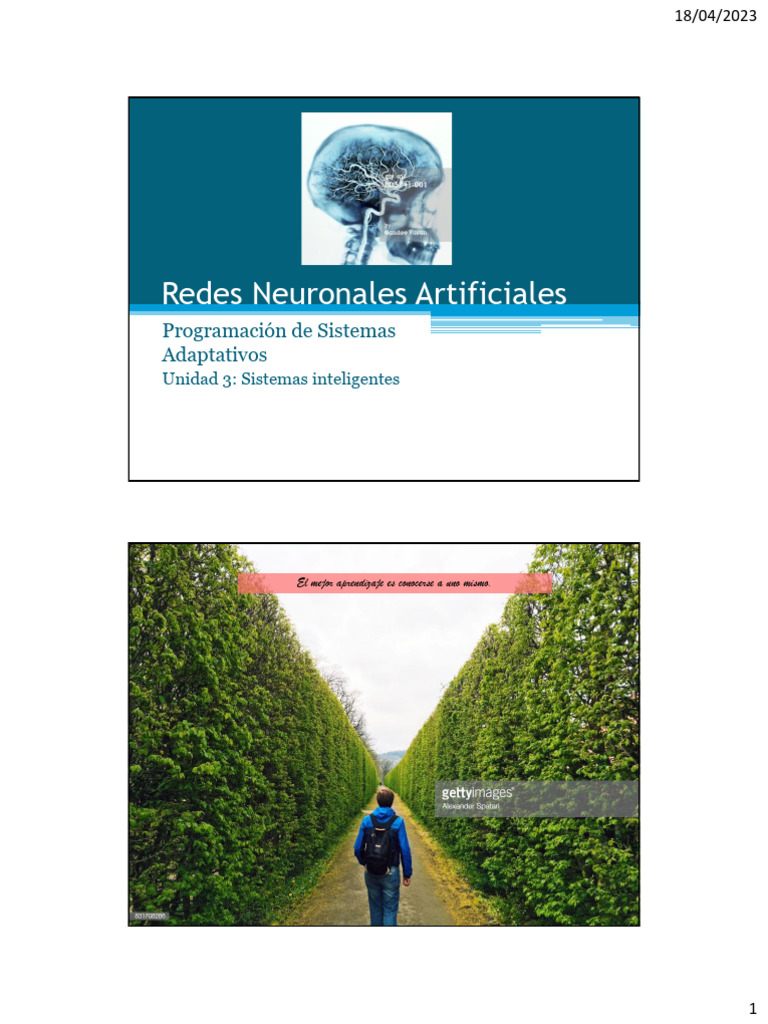 Redes Neuronales | PDF | Red neuronal artificial | Neurona