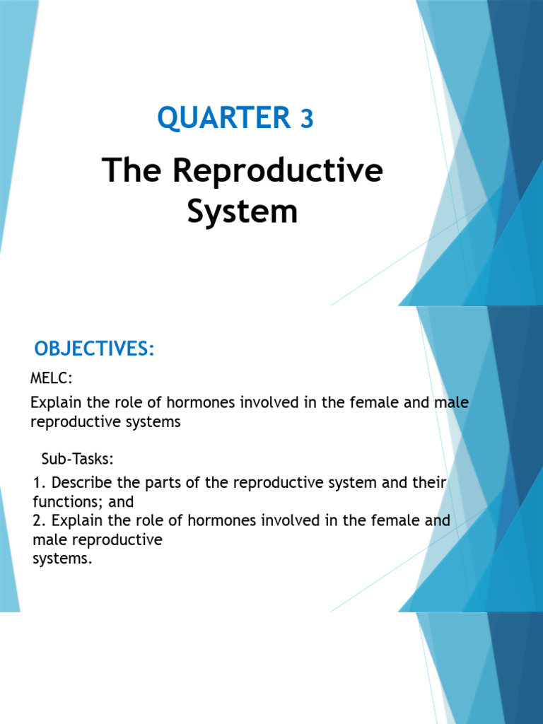 QUARTER 3 Reproductive System | PDF | Menstrual Cycle | Reproductive System