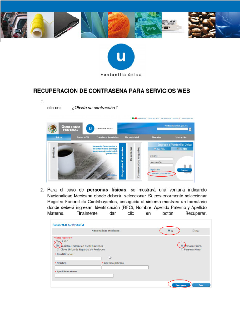 Guía Recuperación de Contraseña para Servicios Web | PDF