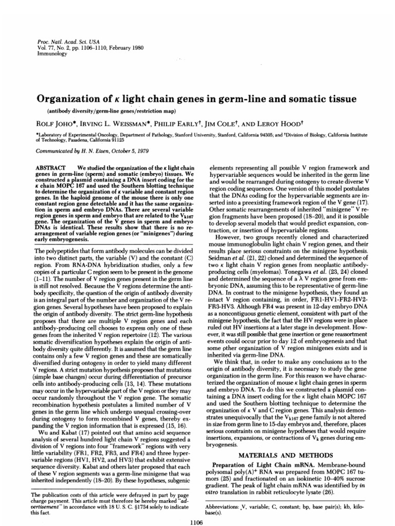 Organization of Light Chain: K Genes in Germ-Line and Somatic Tissue ...