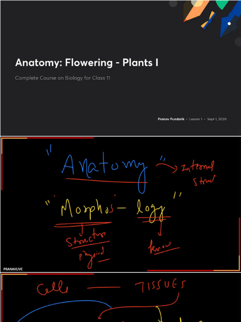 Anatomy_Flowering__Plants_I_with_anno | PDF
