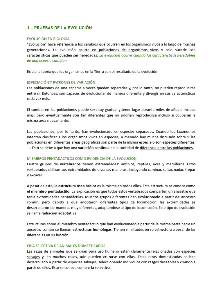 Study Guides Español Tema 5. Evolución y Biodiversidad Biologia IB NS | PDF | Evolución ...