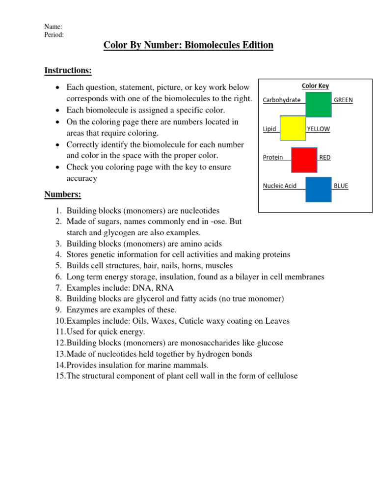 Biomolecules Color by Number Guide | PDF | Science & Mathematics